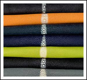 Skins – Adam Unlimited